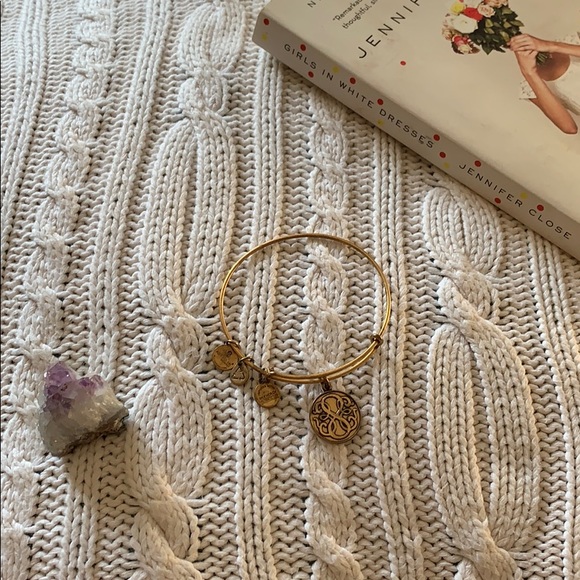 Jewelry | Alex And Ani Energy Bracelet | Poshmark